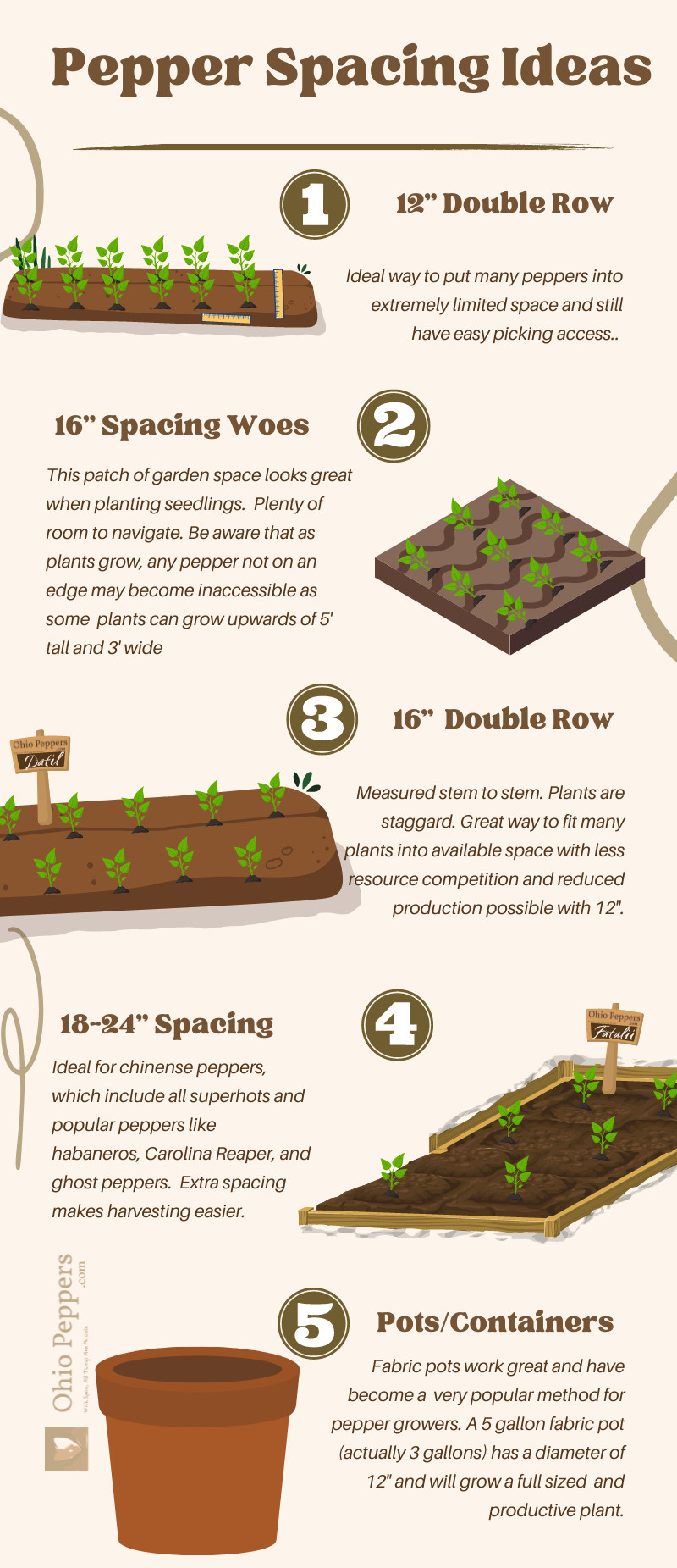 Pepper Plant Spacing